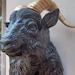 Goat Head Wall Mount, Farm Decor, Farm Animal Decor - Etsy
