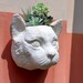Capybara Cute Funny Planter Pot Decor, Flower Vase, Home, Art and ...