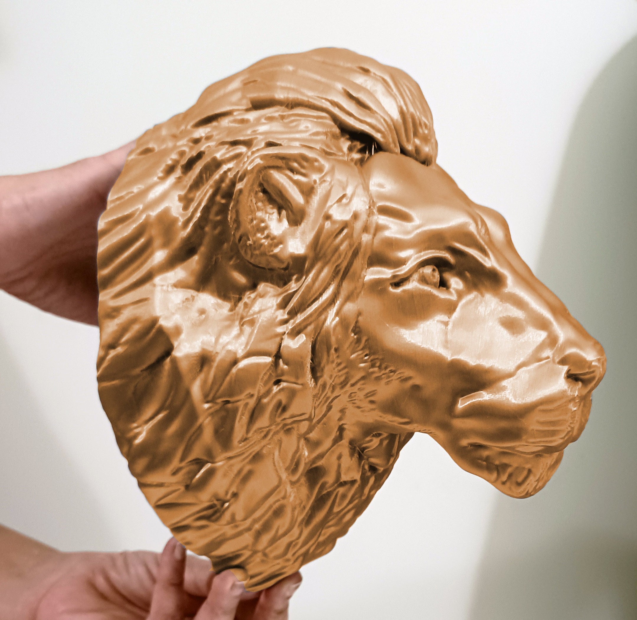 Lion Head Wall Mount of Variable Sizes From 8 to 12 Inches3d - Etsy Canada