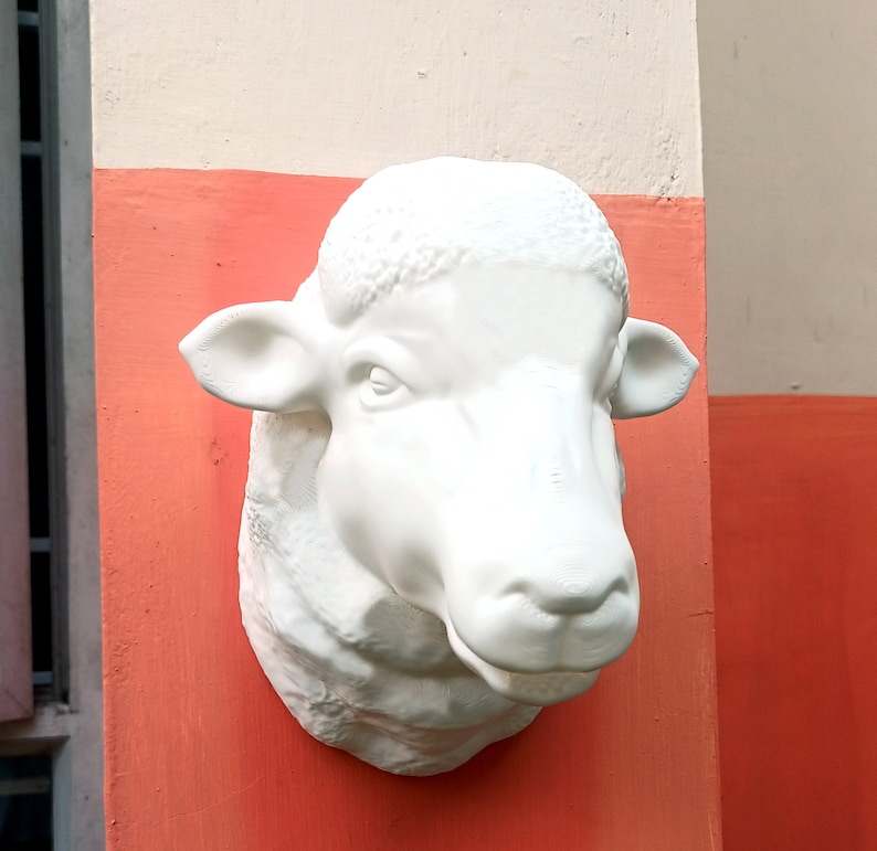 Sheep Head Wall Mount, Farm Decor - Etsy