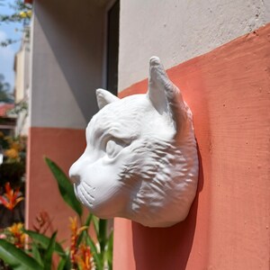 Cat Head Wall Mount, Animal, Feline , Pet, Home Decor, Home and Living ...