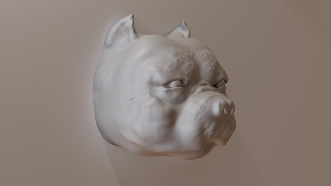 Exotic Bully Bulldog Head Wall Mount, Wall Art, Decor, Wall Mount, Head ...