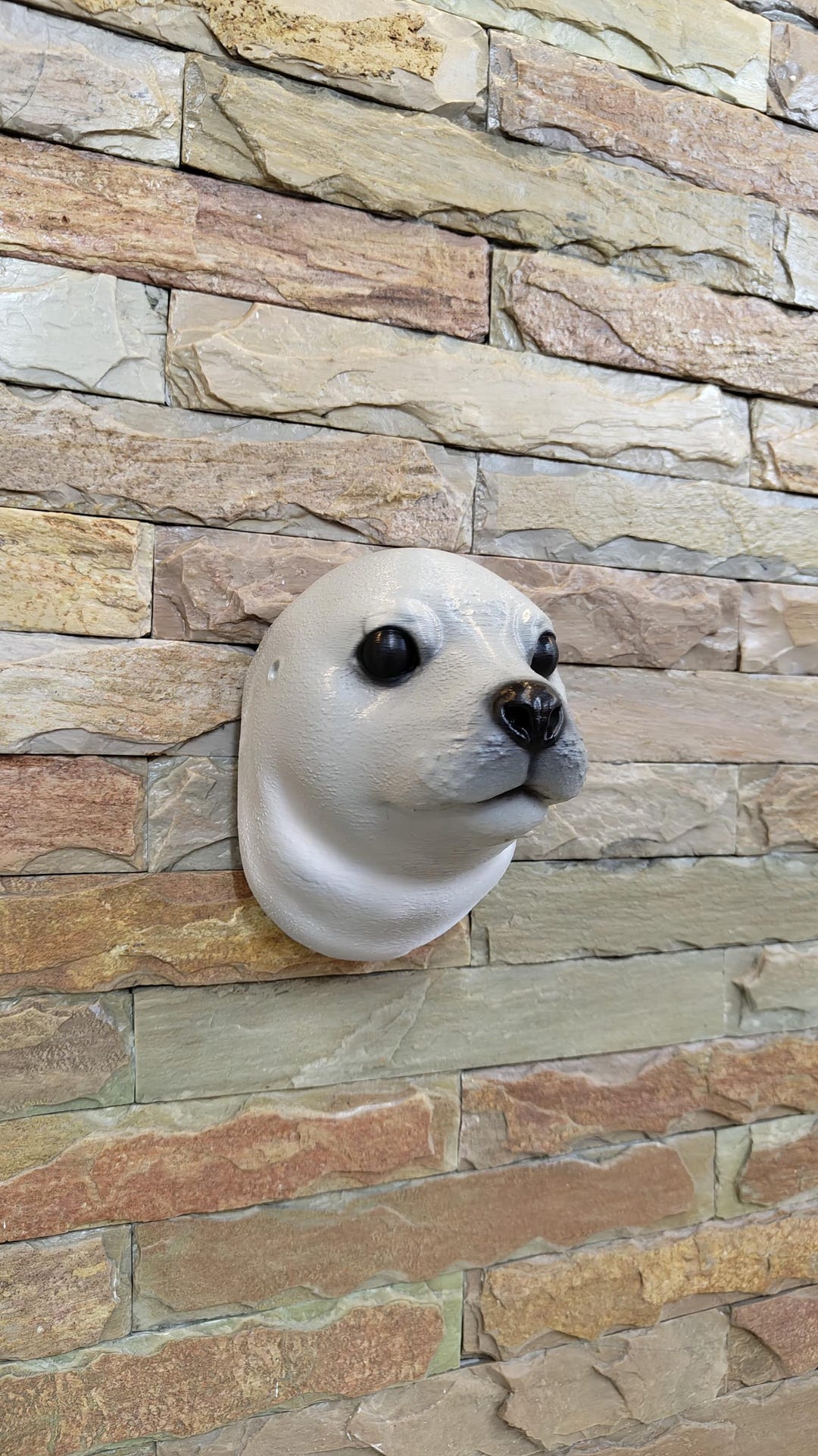 Seal Head Cute Wall Mount, Swimming Sea Creature Head Taxidermy, Ocean ...