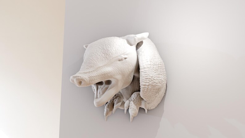 Armadillo Head Mouth Open, Wall Art, Decor, Wall Mount, Head Taxidermy ...