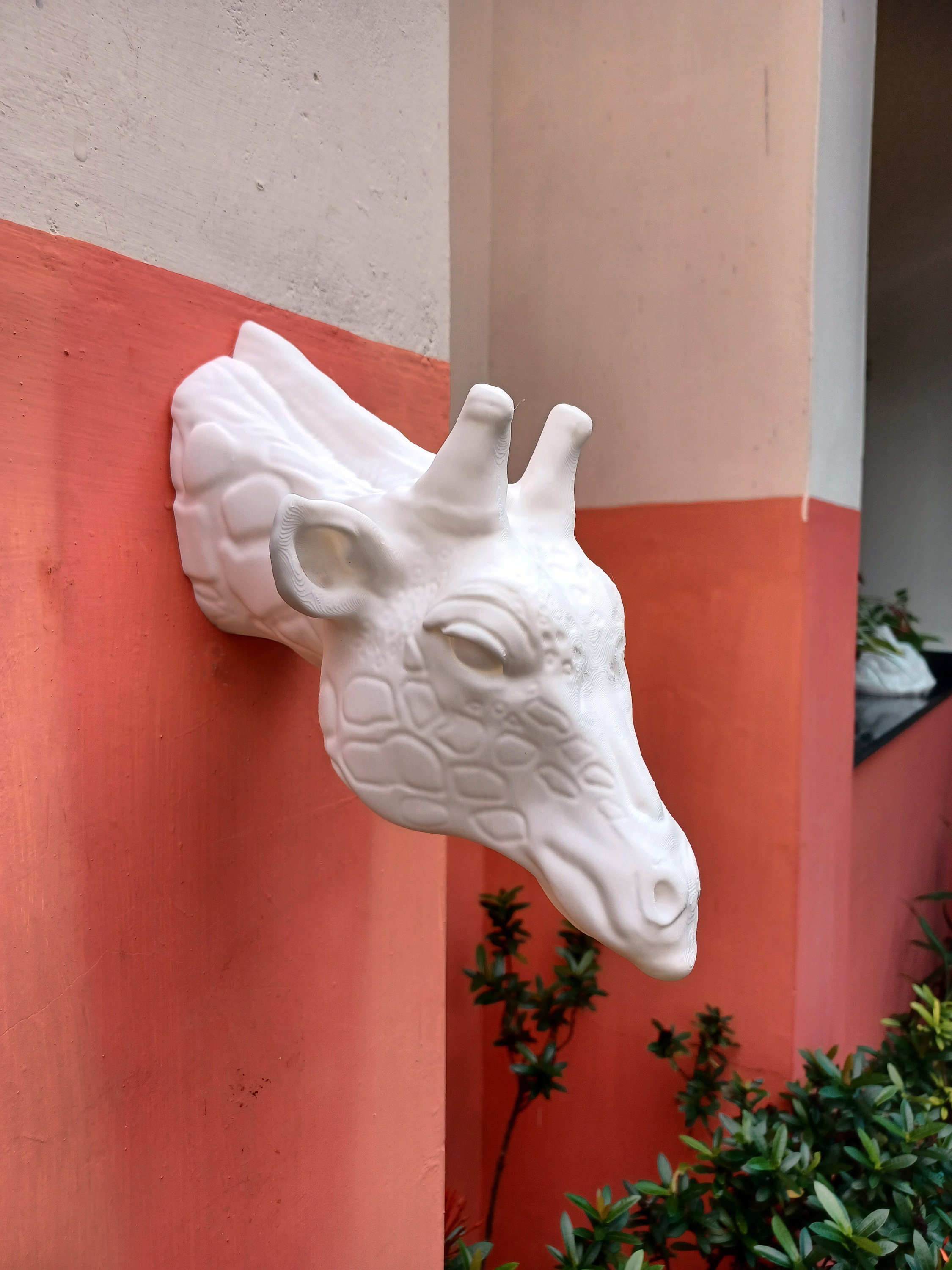 Giraffe Head Wall Mount, White Faux Taxidermy, Animal Head Wall Mount ...