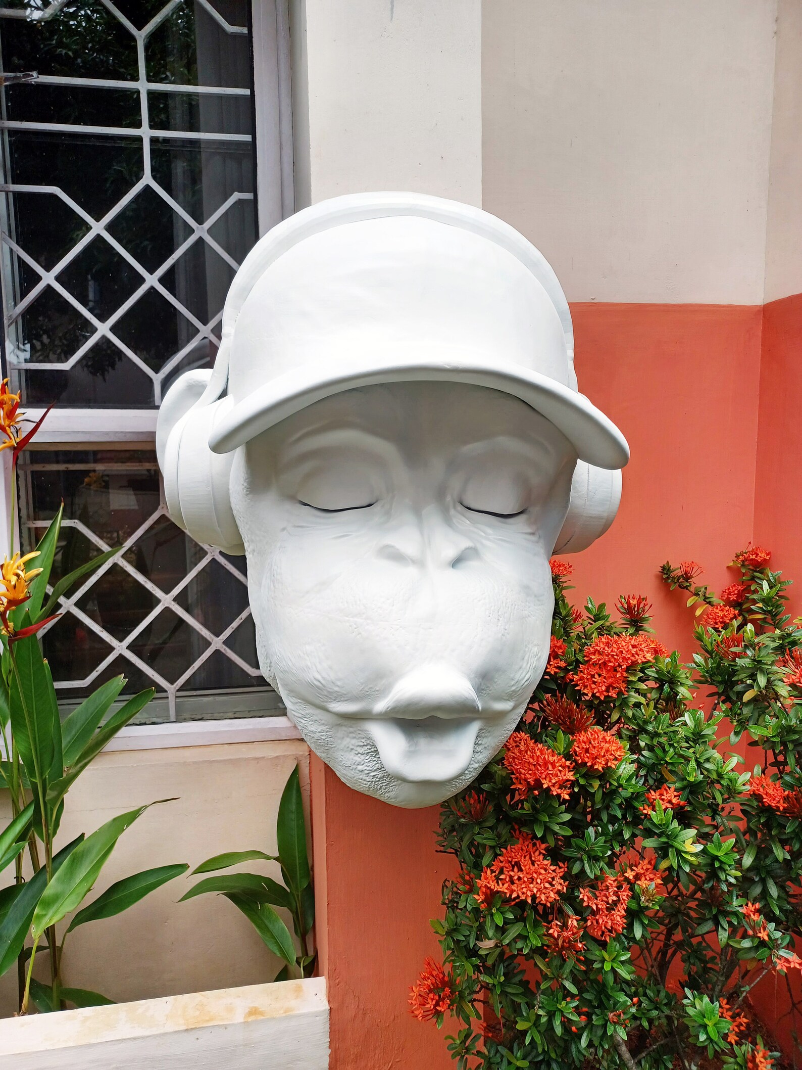 Monkey Head Wall Art, Mounted, Listening to Music and Whistling With ...