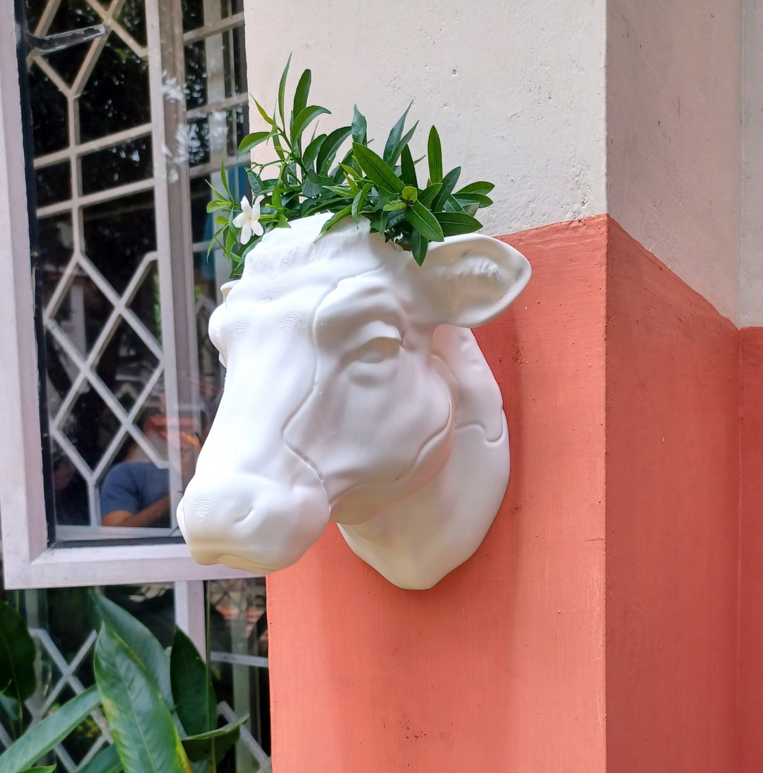 French Cow Planter Wall Mount Farm and Home Decor Jersey Cow - Etsy