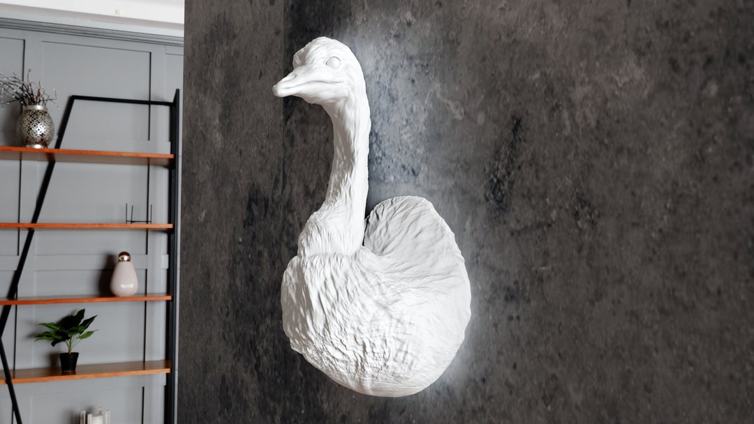 Ostrich Head Wall Mount, Decor, Bird Head, Head Taxidermy, Decor, Wall ...