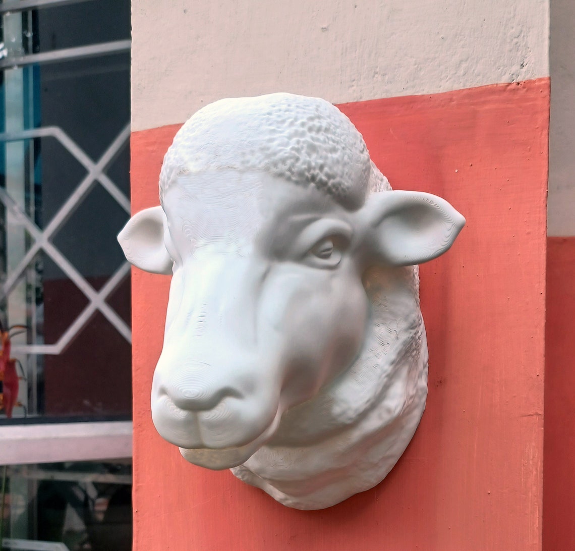 Sheep Head Wall Mount, Farm Decor - Etsy