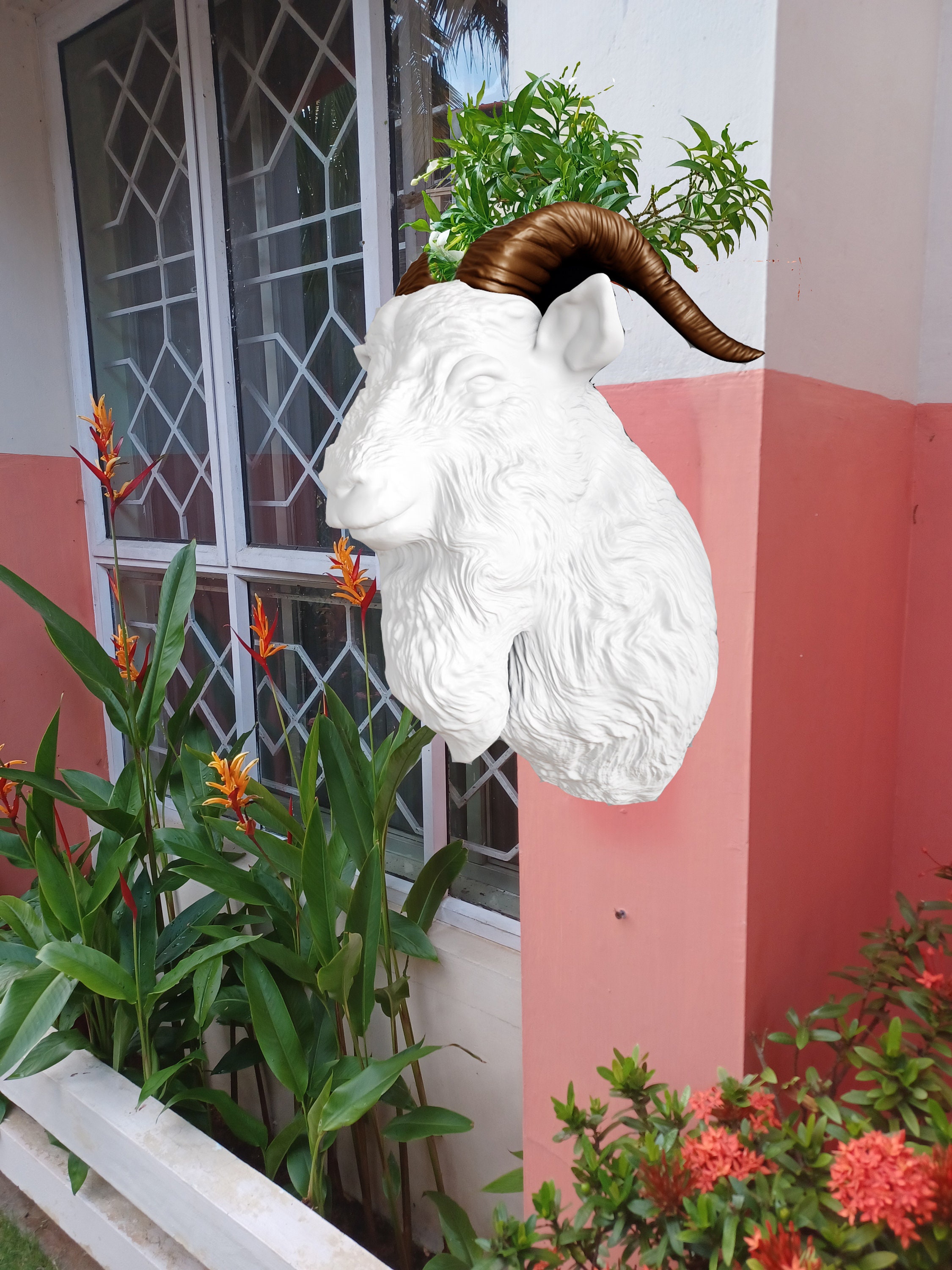 Goat Head Wall Planter, Mount, Succulent Pot, Vase, Bowl , Keychain ...