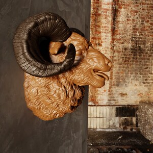 Bleating Ram Head Wall Mount, Farm Decor, Mountain Ram - Etsy