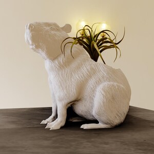 Capybara Cute Funny Planter Pot Decor, Flower Vase, Home, Art and ...