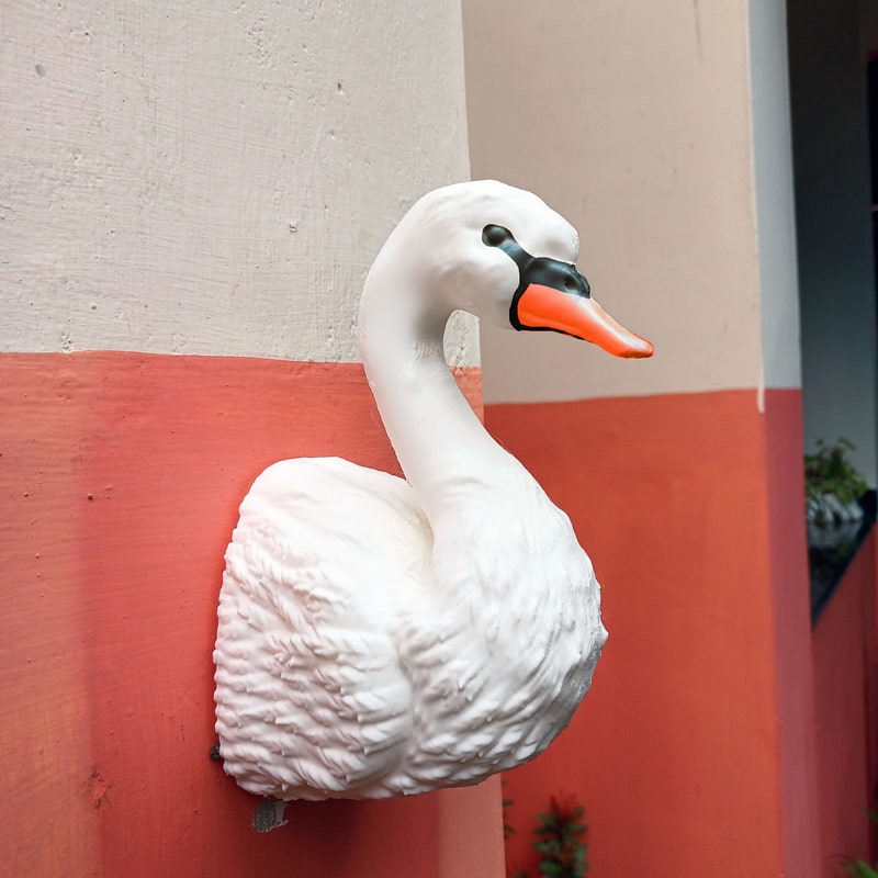 Swan Wall Mount - Etsy