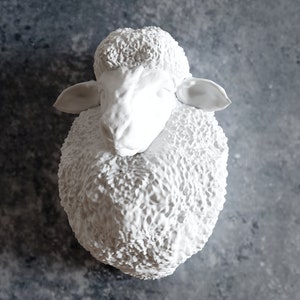Sheep Head Wall Mount, Woolly Sheep, Farm Decor - Etsy