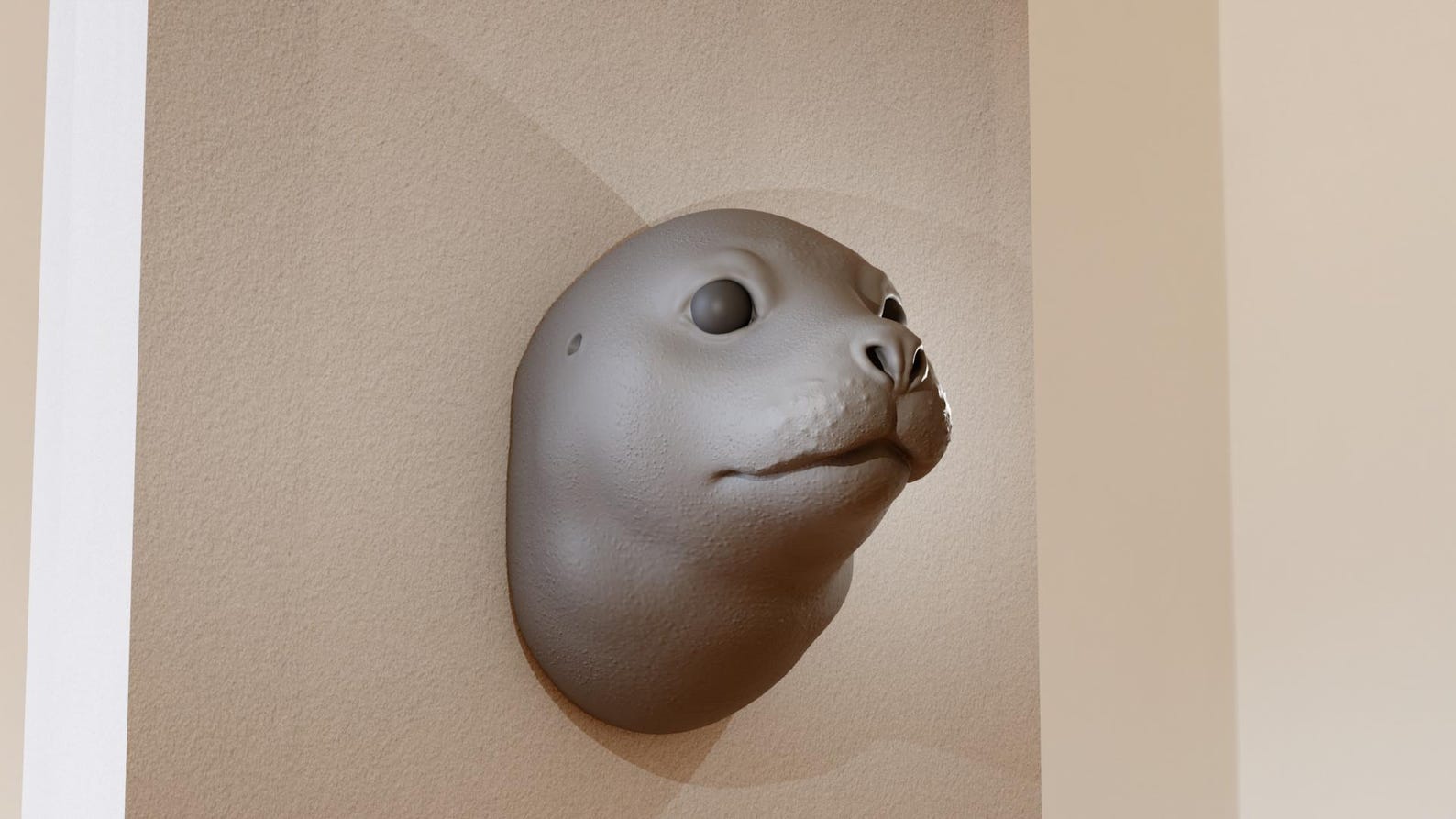 Seal Head Cute Wall Mount, Swimming Sea Creature Head Taxidermy, Ocean ...