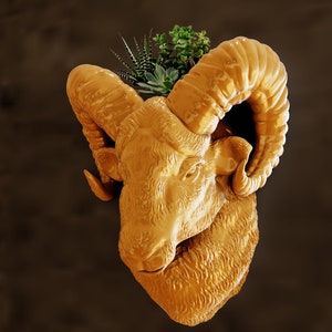 Ram Head Wall Mount Planter Pot Flower Vase, Farm Decor, Mountain Ram ...