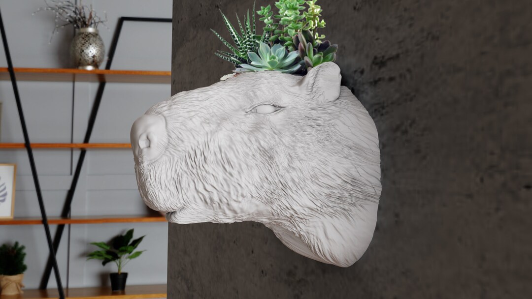 Capybara Wall Head Planter, Cactus, Pot, Succulent, Vase, Flower ...