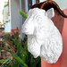 Goat Head Wall Mount, Farm Decor, Farm Animal Decor - Etsy