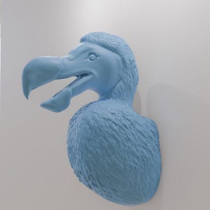 Dodo Bird Head Mouth Open, Crow Head, Wall Art, Decor, Wall Mount ...