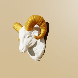 Ram Head Wall Mount, Farm Decor, Mountain Ram - Etsy