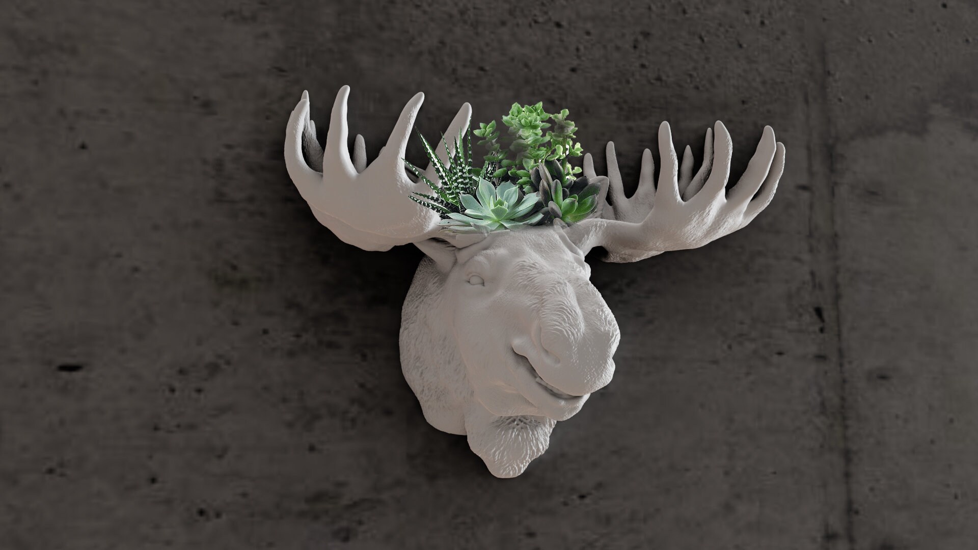 Wall Mounted Moose Head Planter, Faux Taxidermy, Home Decor, Deer, Elk ...