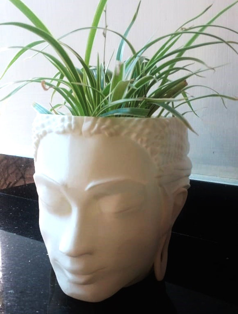 Buy Buddha Head Planter, Buddha Planter, Cactus Planter, Home and ...