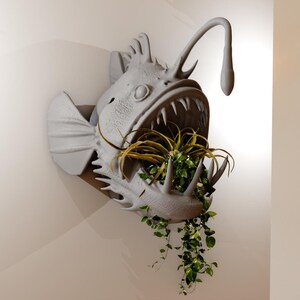 Angler Fish Head Mouth Open Wall Mount Planter Pot Flower Vase, Wall ...