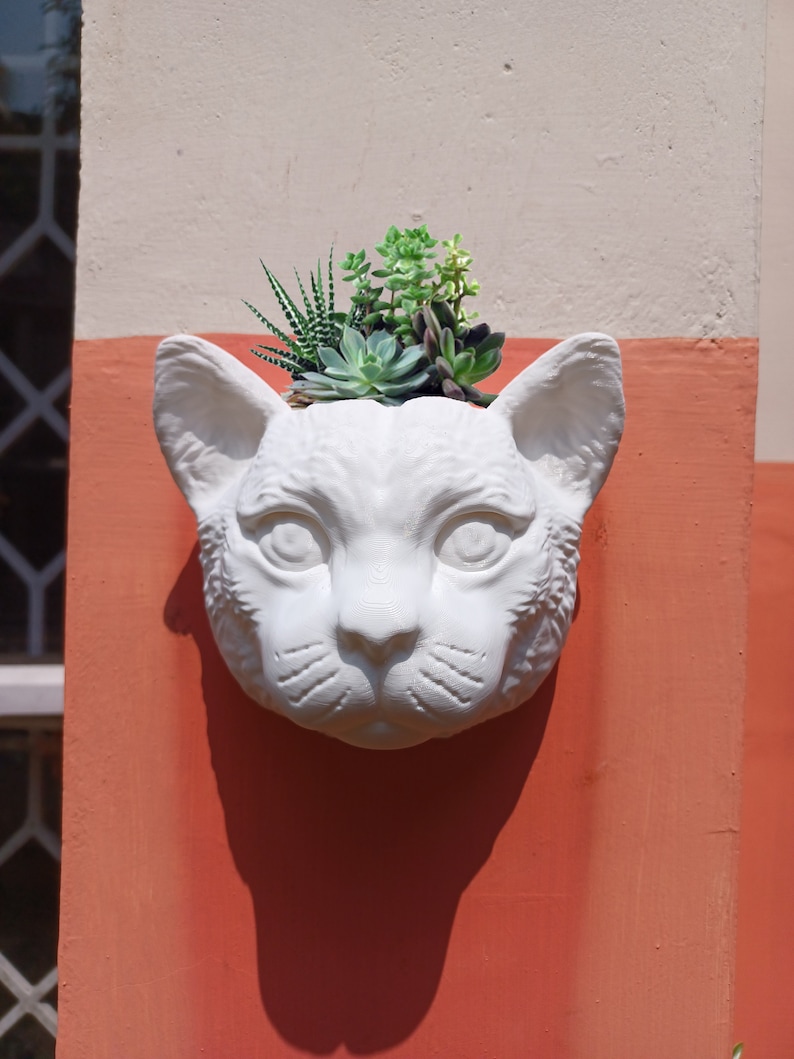 Cat Head Wall Mount Planter, Flower Vase, Pot, Feline , Pet, Home Decor ...