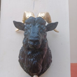 Goat Head Wall Mount, Farm Decor, Farm Animal Decor - Etsy