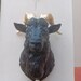 Goat Head Wall Mount, Farm Decor, Farm Animal Decor - Etsy