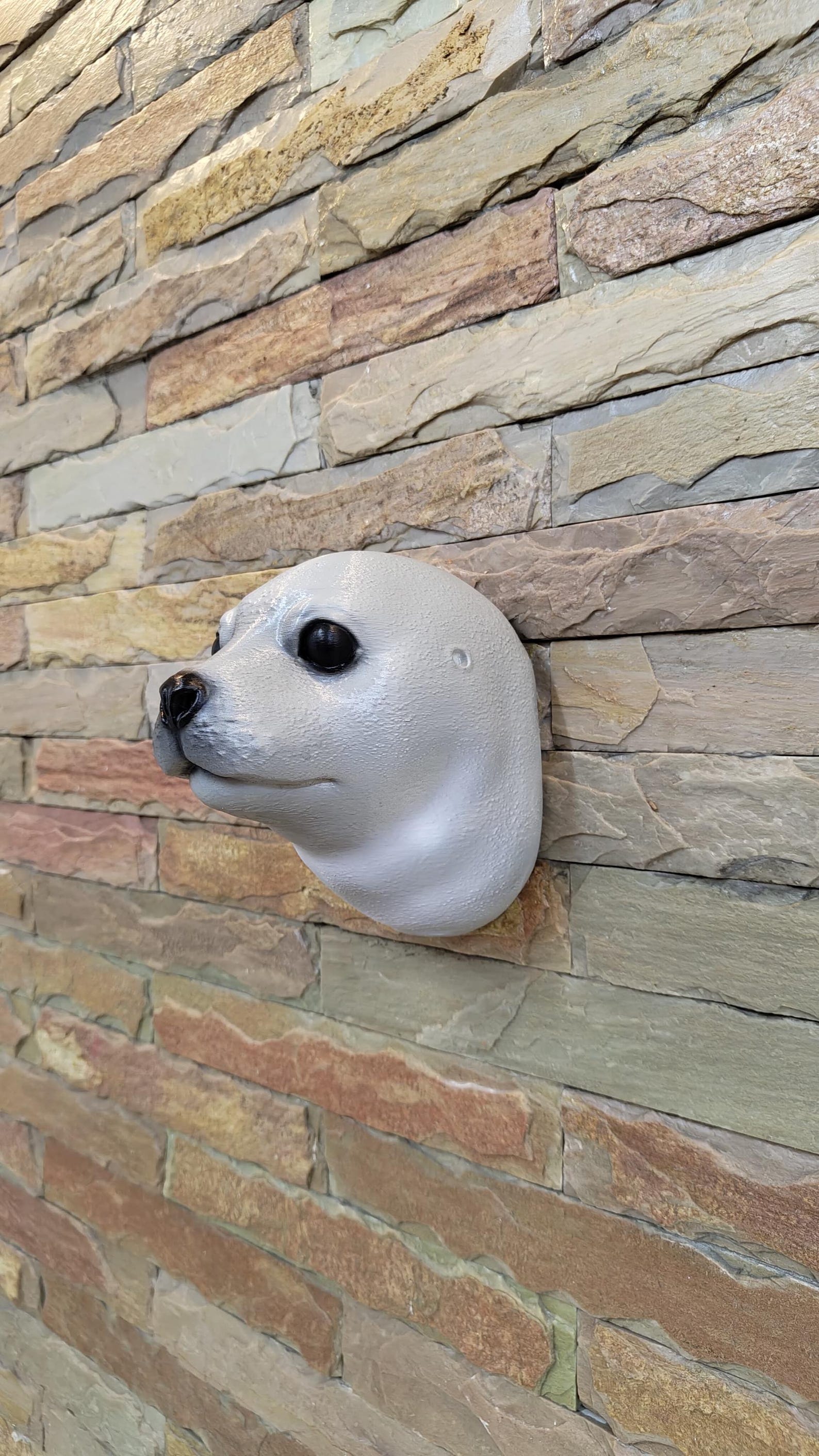 Seal Head Cute Wall Mount, Swimming Sea Creature Head Taxidermy, Ocean ...