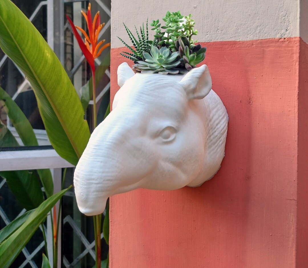 Tapir Head Planter Wall Mount, 3d Jungle Animal Head , Home and Living ...