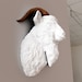 Goat Head Wall Mount, Farm Decor, Farm Animal Decor - Etsy
