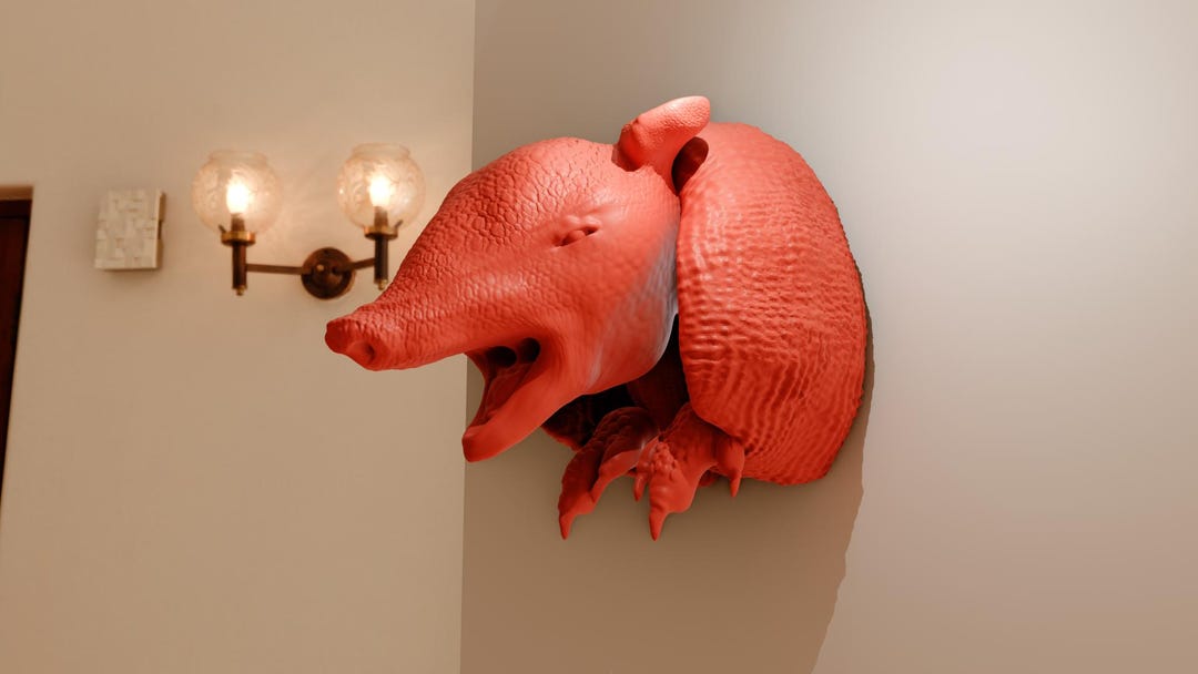 Armadillo Head Mouth Open, Wall Art, Decor, Wall Mount, Head Taxidermy ...