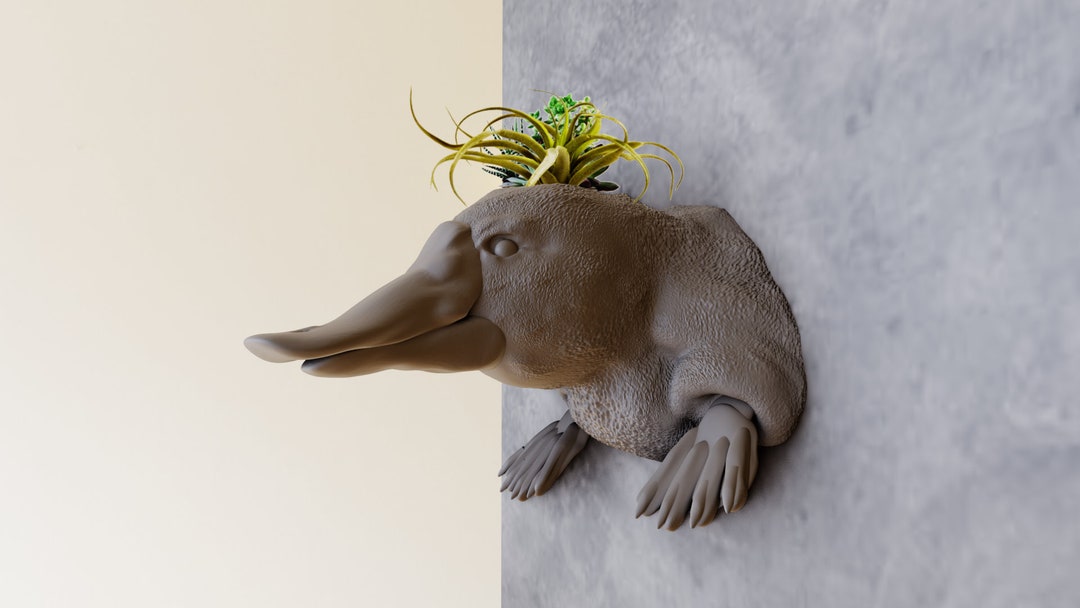 Platypus Head Wall Mount Planter Pot, Flower Vase, Landscape, Garden ...