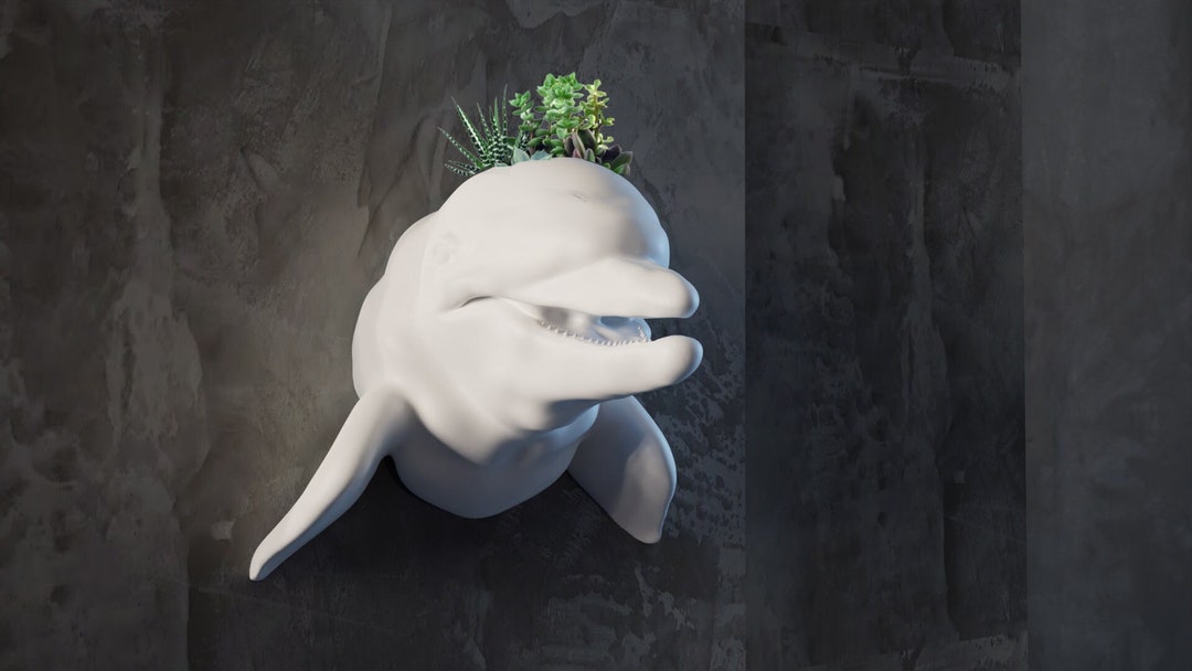 Dolphin Head Planter, Wall Mounted, Succulent, Pot, Flower Vase, Home ...