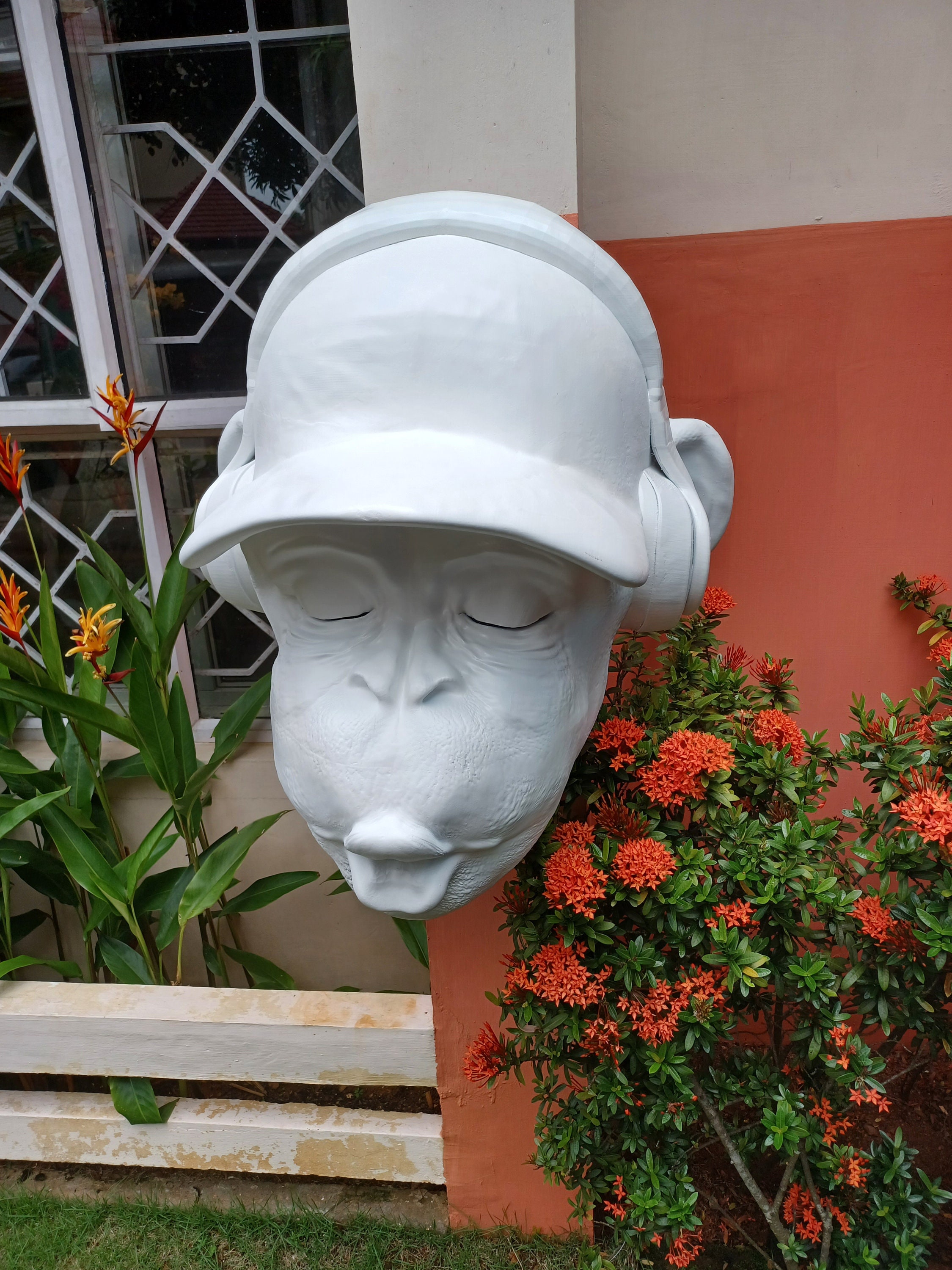 Monkey Head Wall Art, Mounted, Listening to Music and Whistling With ...