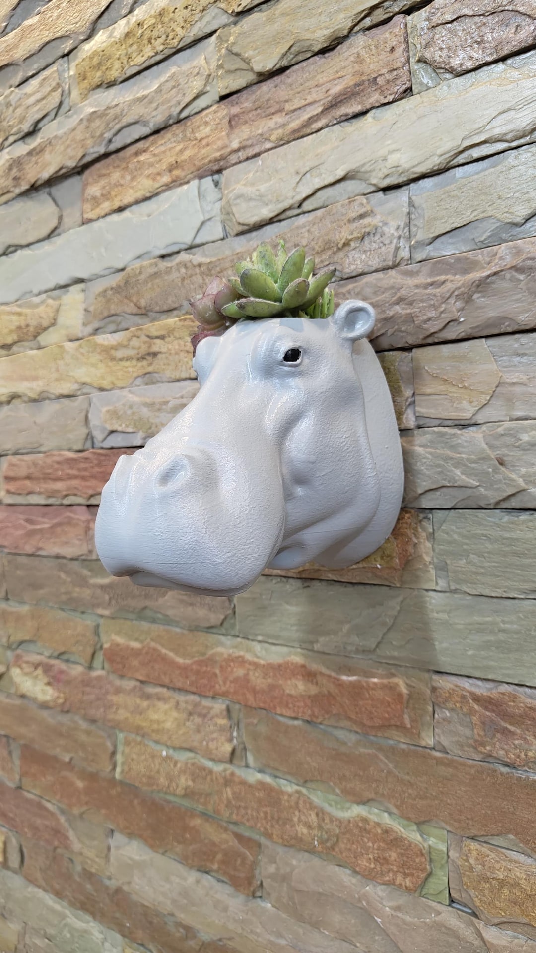 Hippo Head Wall Mount, Planter Pot, Flower Vase, Animal Heads ...