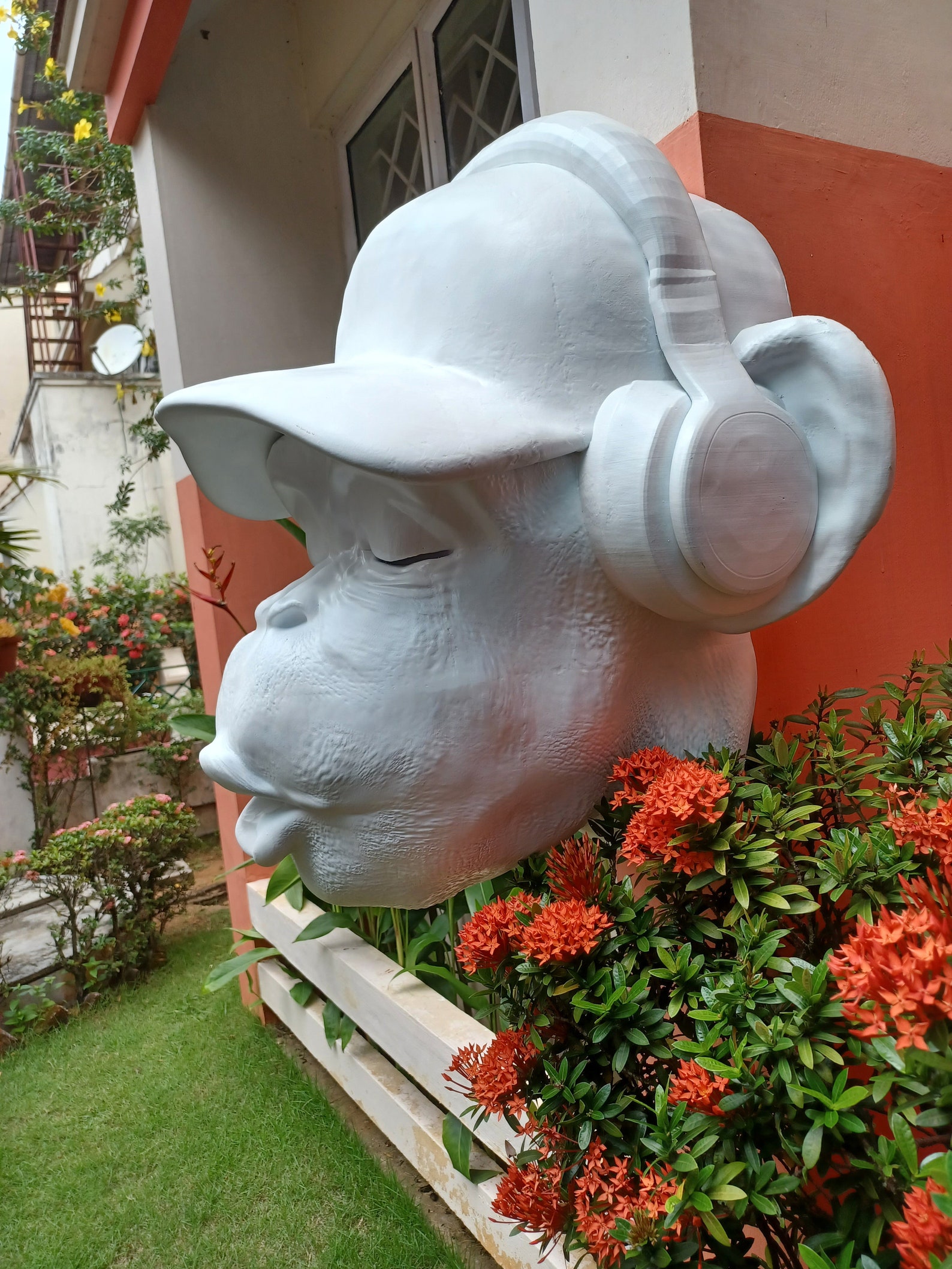 Monkey Head Wall Art, Mounted, Listening to Music and Whistling With ...
