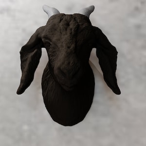 Indian Goat Head Wall Mount, Mutton, Farm Decor, Farm Animal Decor - Etsy