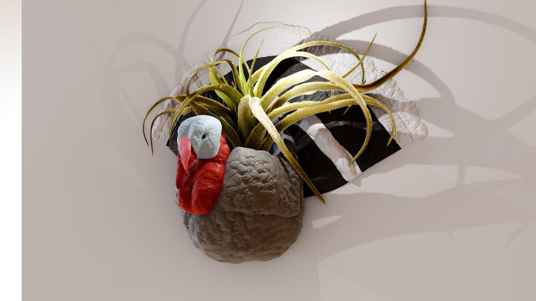 Turkey Bird Head Wall Mount Planter Pot Flower Vase, Decor, Head ...