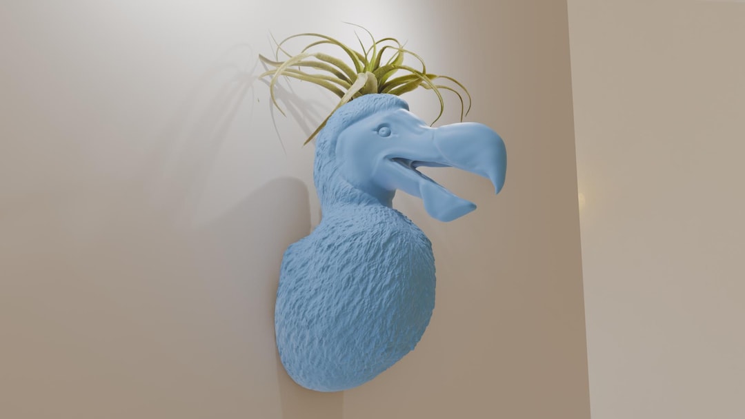 Dodo Bird Head Mouth Open Wall Mount Planter Pot Flower Vase, Crow Head ...