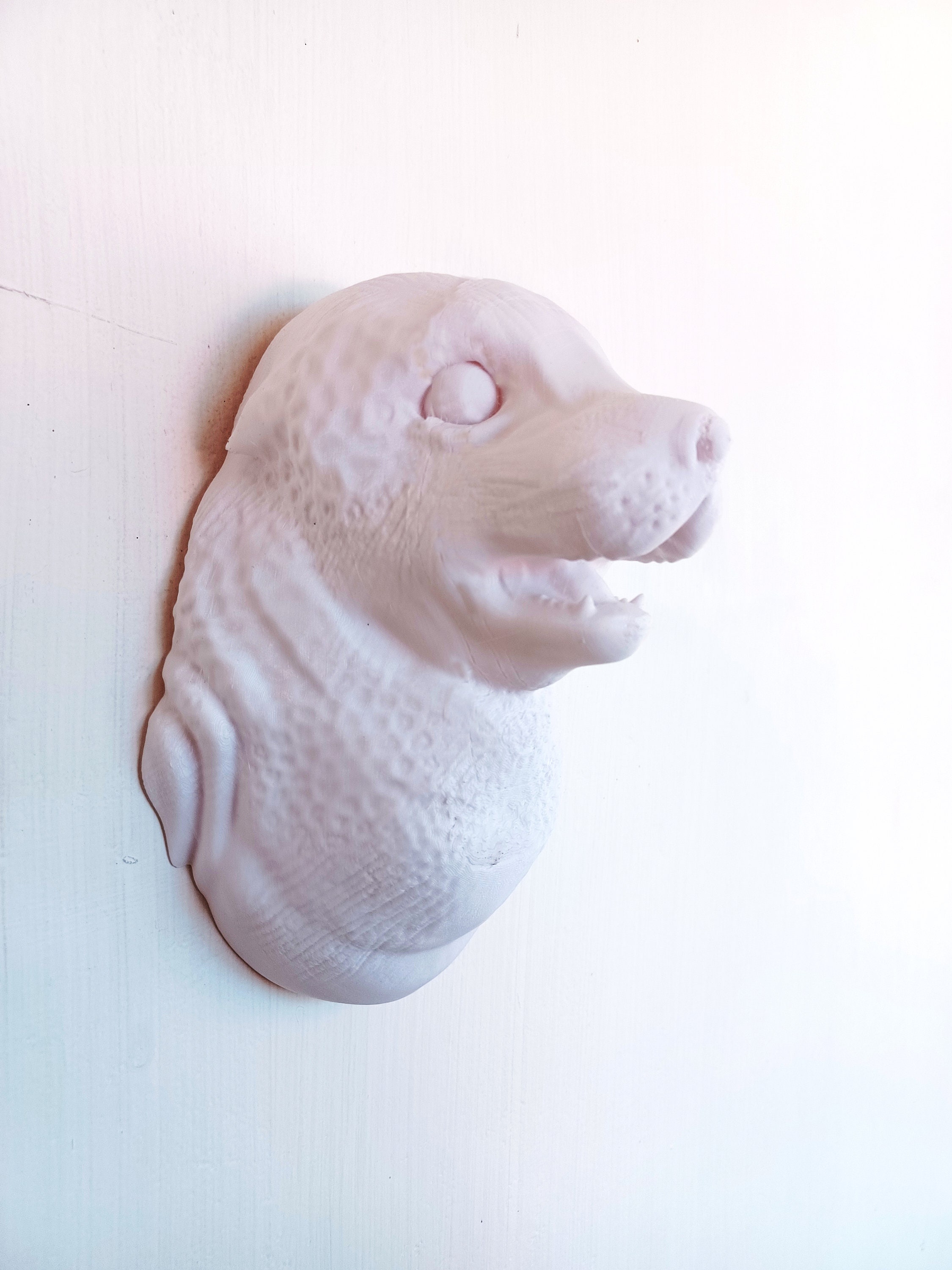 Seal Wall Mount, Sea Lion, Elephant Seal, Walrus Faux Taxidermy, Home ...