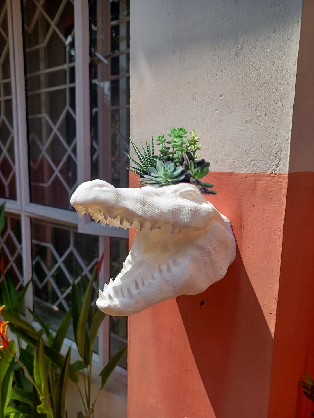 Crocodile Head Planter,wall Mount, White Faux Taxidermy, Alligator Head ...