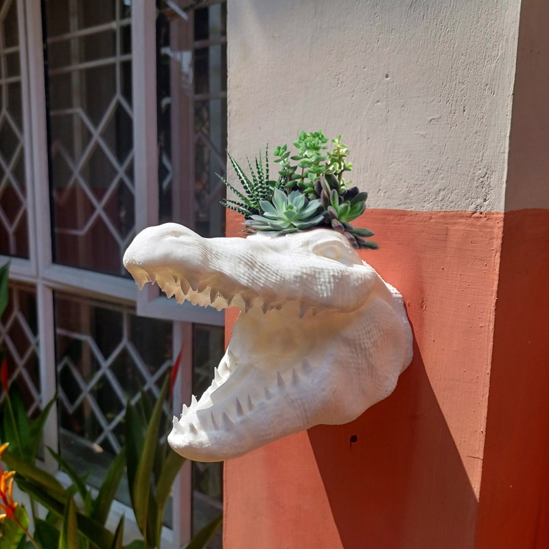 Alligator Planter - Etsy