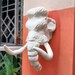 Mammoth Head Wall Mount, Mammoth Art, Animal Head, White Faux Taxidermy ...