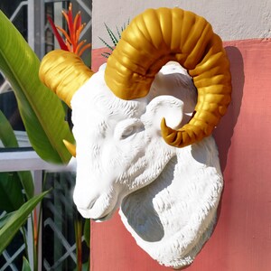 Ram Head Wall Mount, Farm Decor, Mountain Ram - Etsy