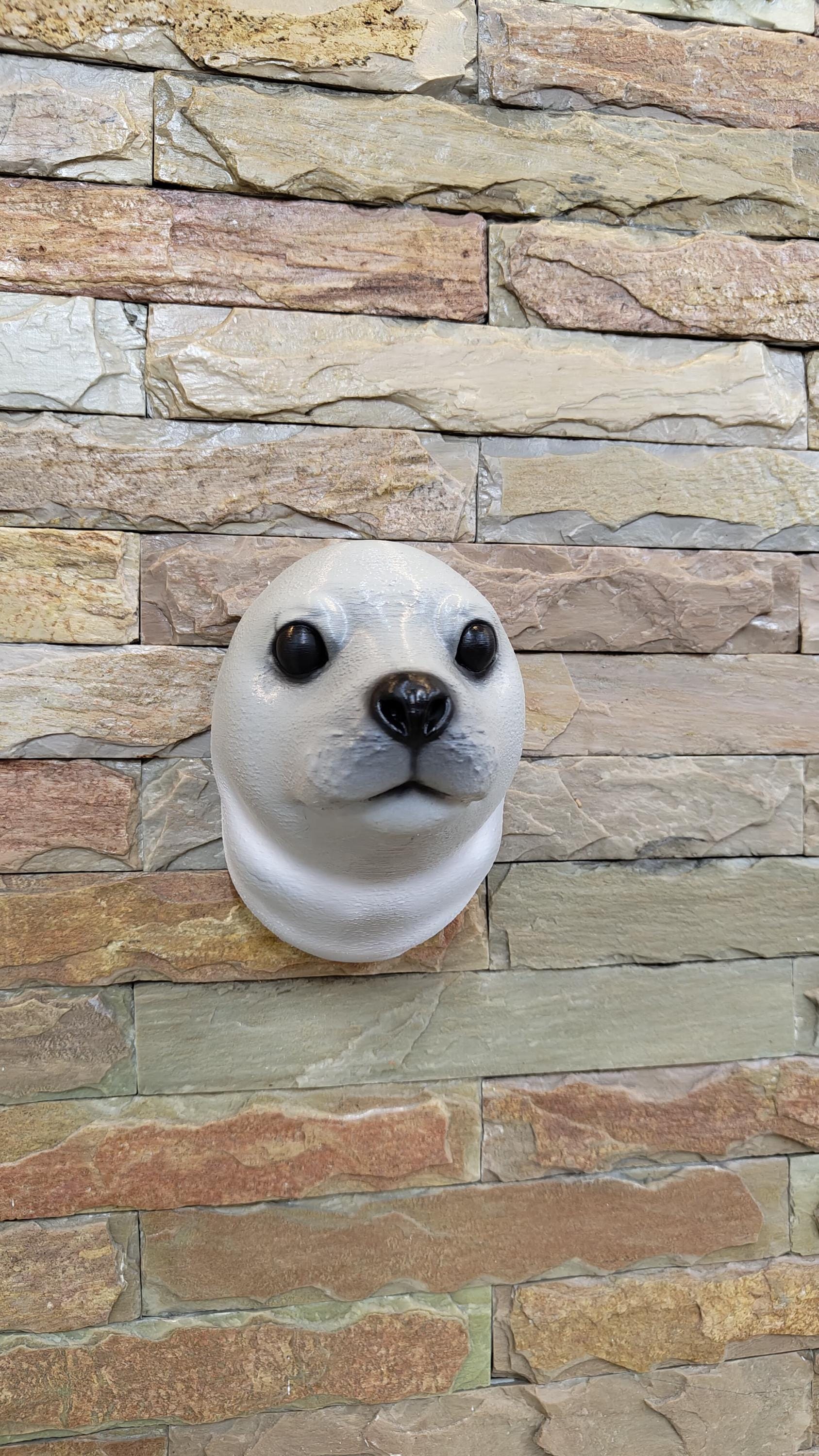 Seal Head Cute Wall Mount, Swimming Sea Creature Head Taxidermy, Ocean ...