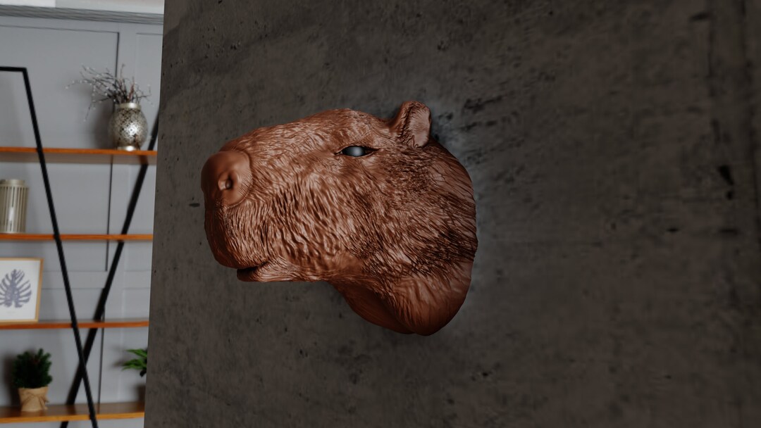 Capybara Wall Head Taxidermy, Bear Decor, Bear Wall Art, 3d Jungle ...