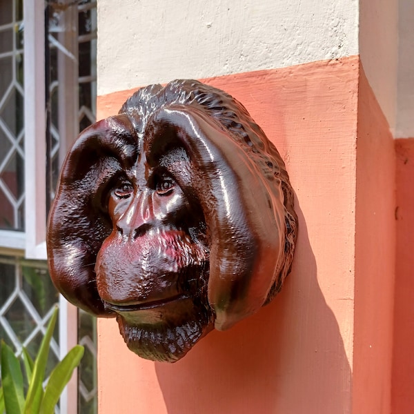 Ape Taxidermy - Etsy